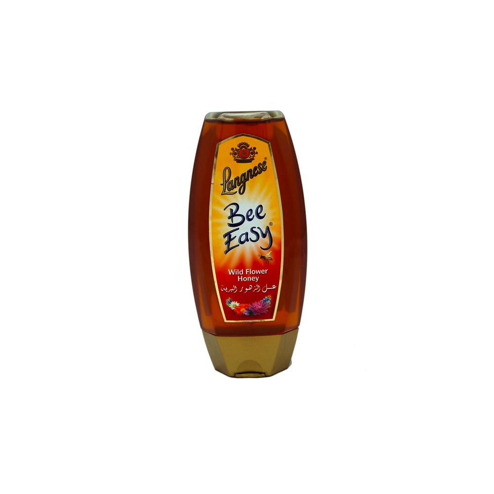Langnese Bee Easy Wild Flower Honey > Julnar General Trading